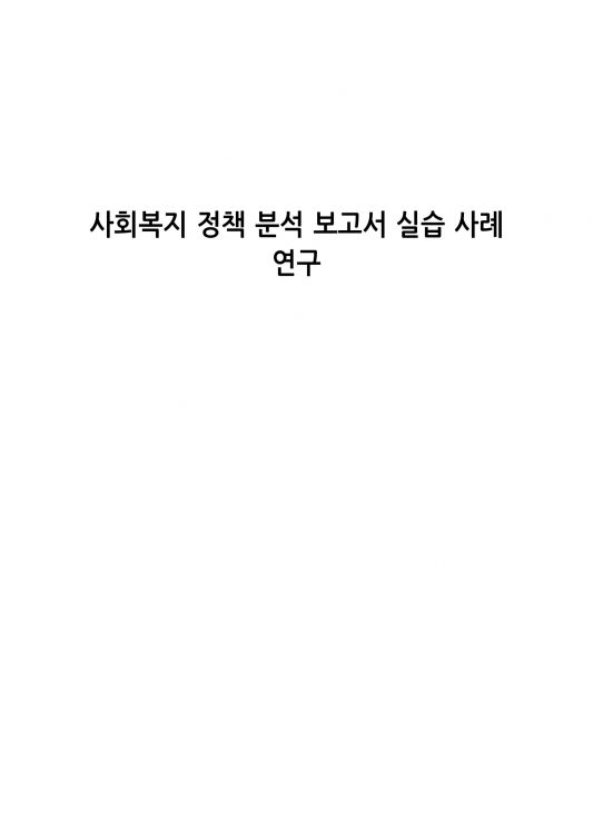 사회복지 정책 분석 보고서 실습 사례 연구