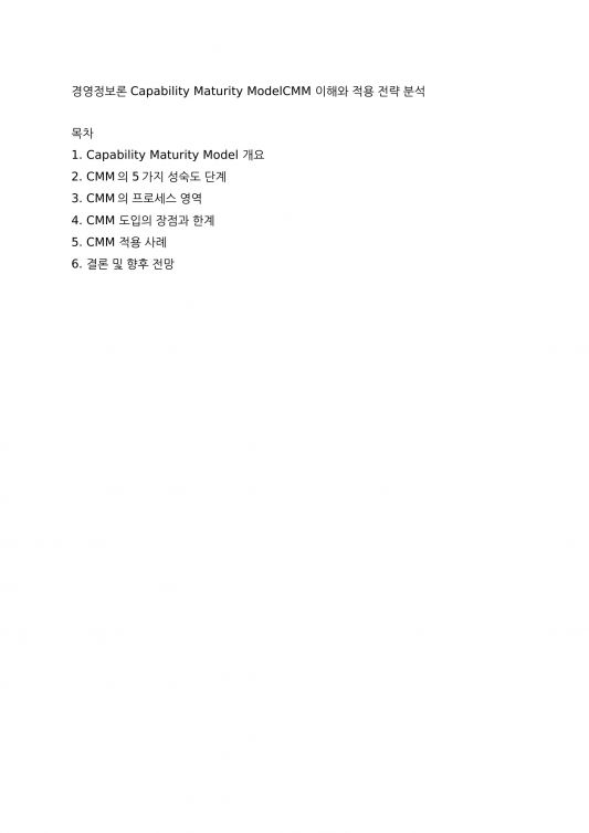 경영정보론 Capability Maturity ModelCMM 이해와 적용 전략 분석