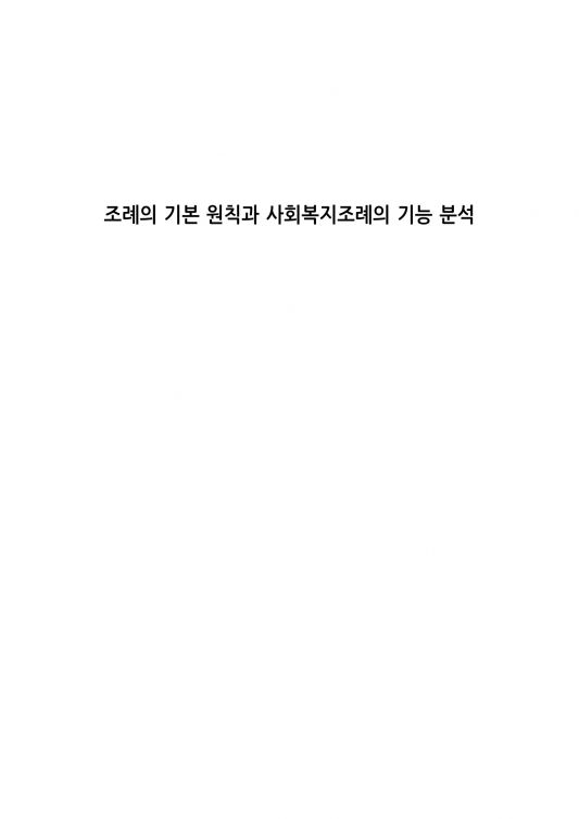 조례의 기본 원칙과 사회복지조례의 기능 분석