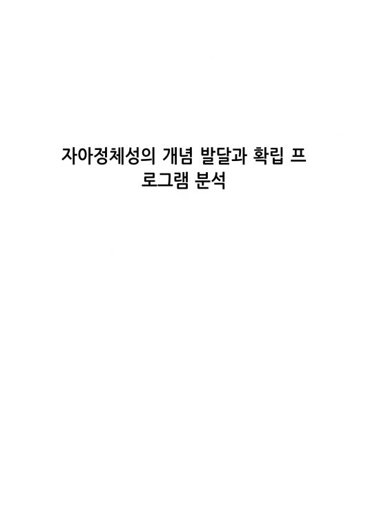 자아정체성의 개념 발달과 확립 프로그램 분석
