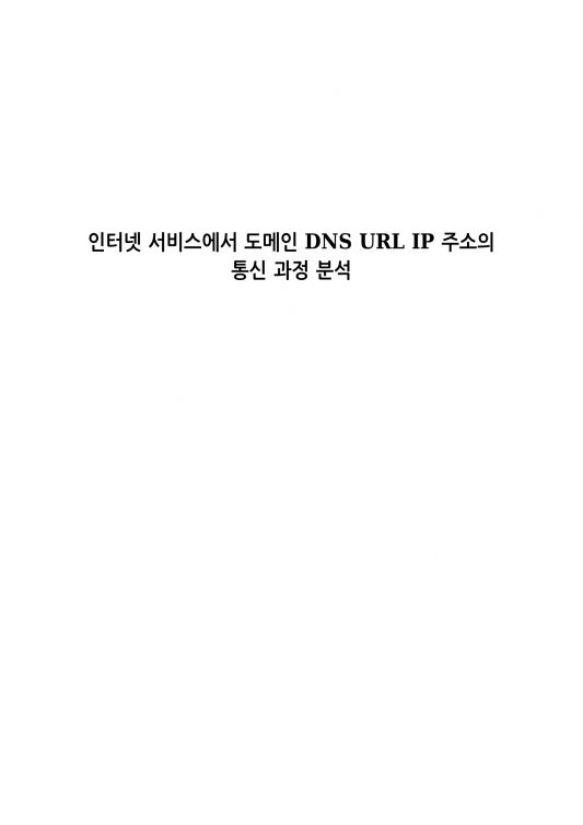 인터넷 서비스에서 도메인 DNS URL IP 주소의 통신 과정 분석