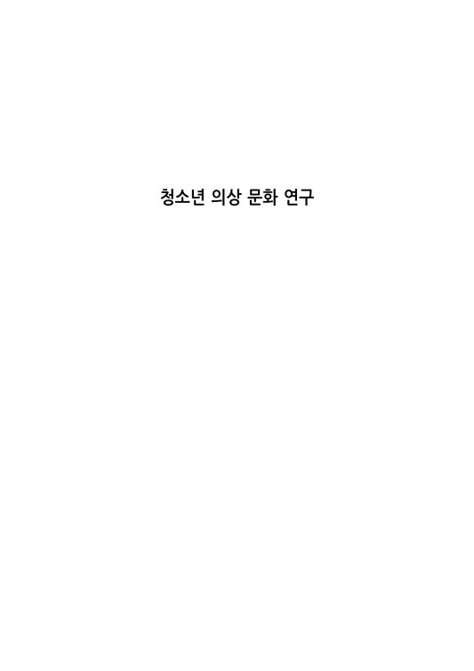 청소년 의상 문화 연구