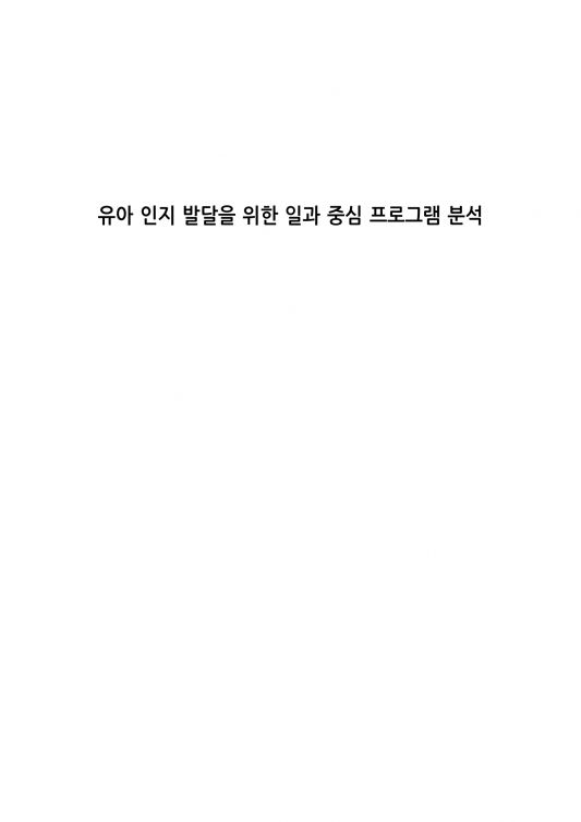 유아 인지 발달을 위한 일과 중심 프로그램 분석