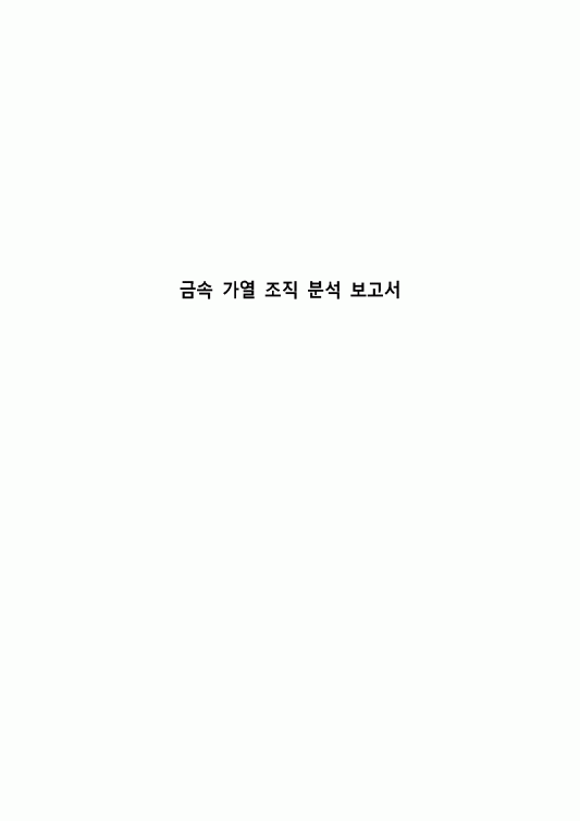 금속 가열 조직 분석 보고서