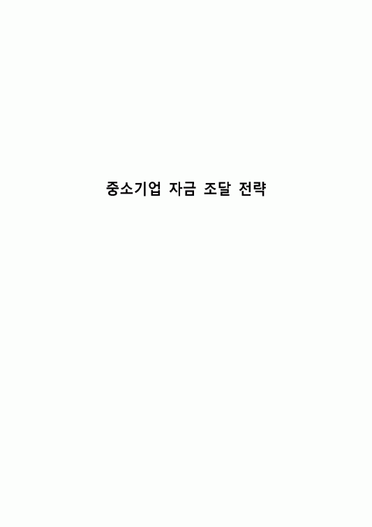 중소기업 자금 조달 전략