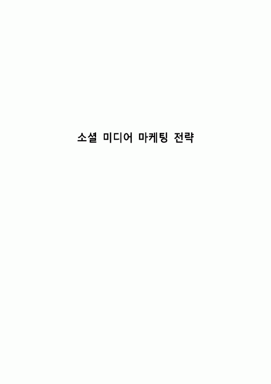소셜 미디어 마케팅 전략