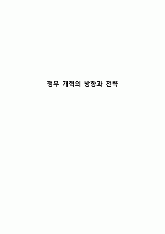 정부 개혁의 방향과 전략