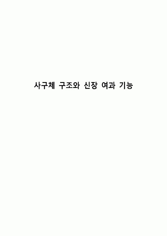 사구체 구조와 신장 여과 기능