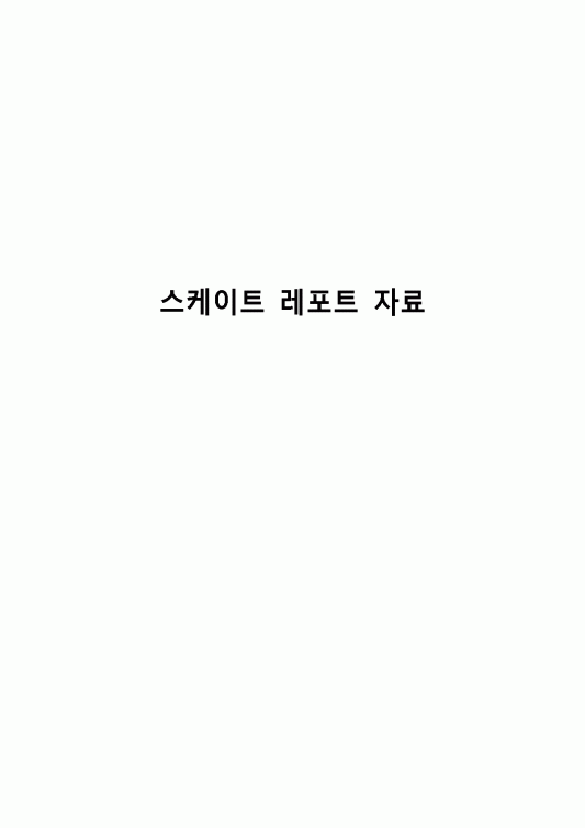 스케이트 레포트 자료