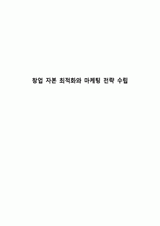 창업 자본 최적화와 마케팅 전략 수립