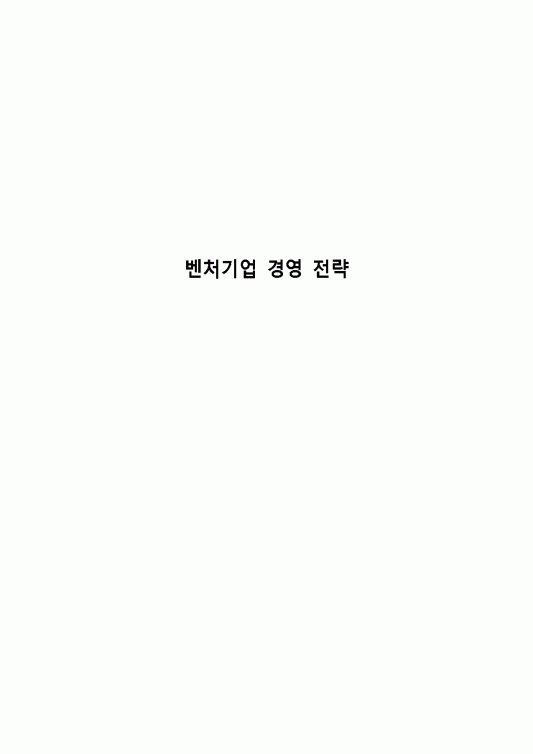 벤처기업 경영 전략