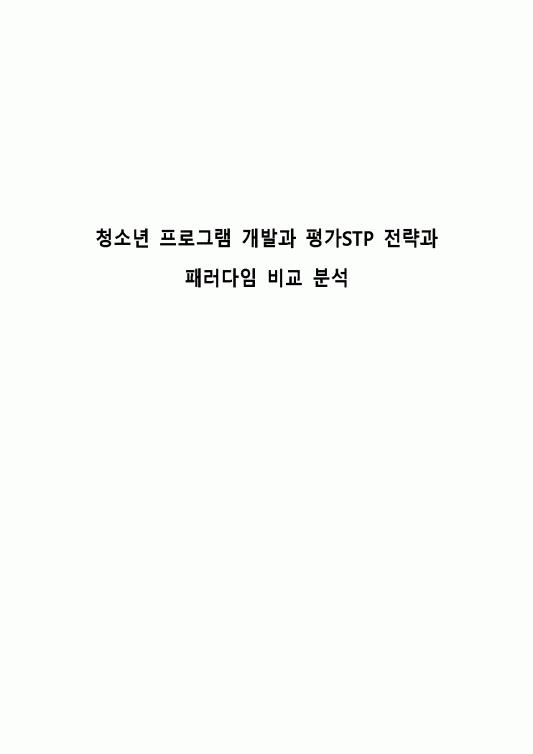 청소년 프로그램 개발과 평가STP 전략과 패러다임 비교 분석