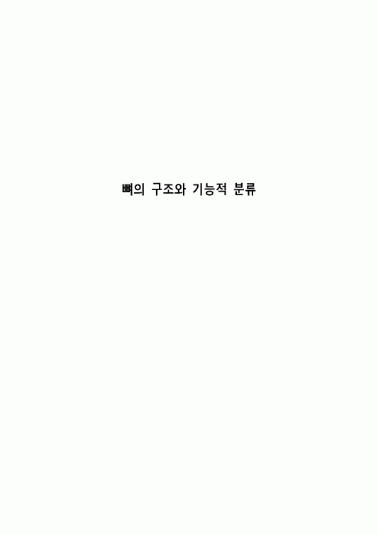 뼈의 구조와 기능적 분류