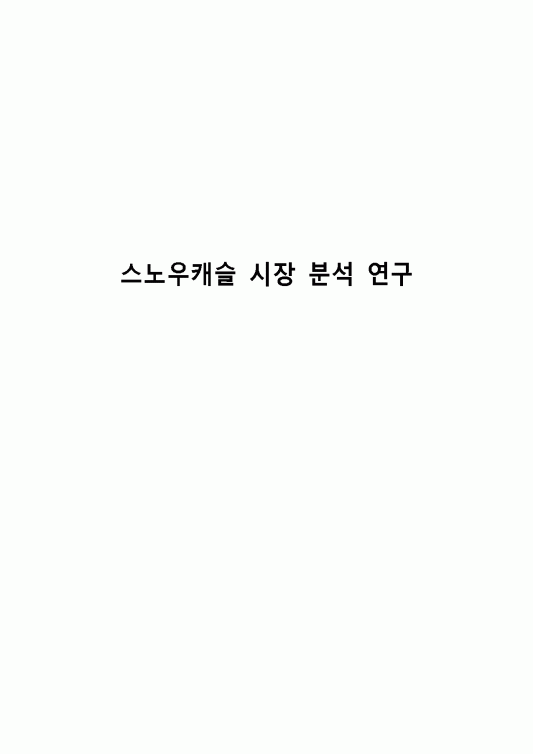 스노우캐슬 시장 분석 연구