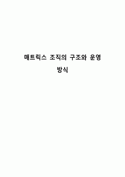매트릭스 조직의 구조와 운영 방식