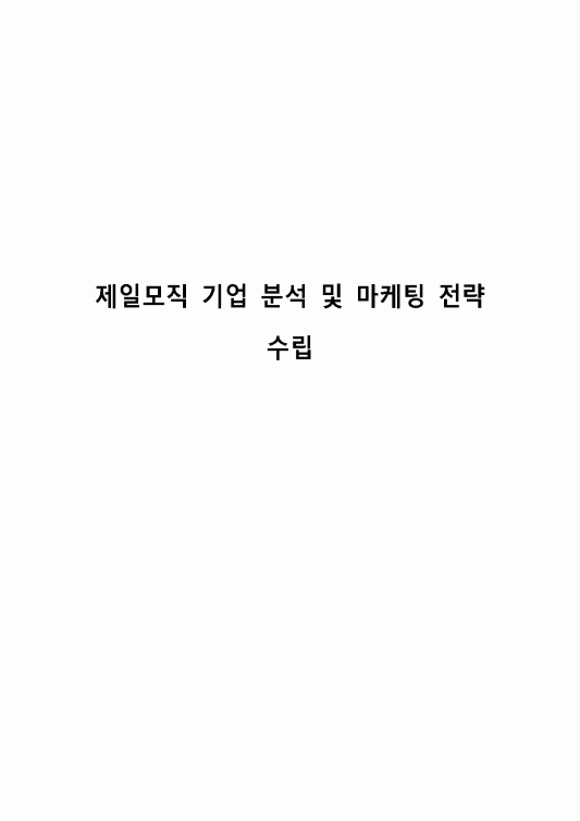 제일모직 기업 분석 및 마케팅 전략 수립