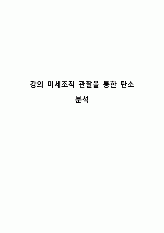 강의 미세조직 관찰을 통한 탄소 분석