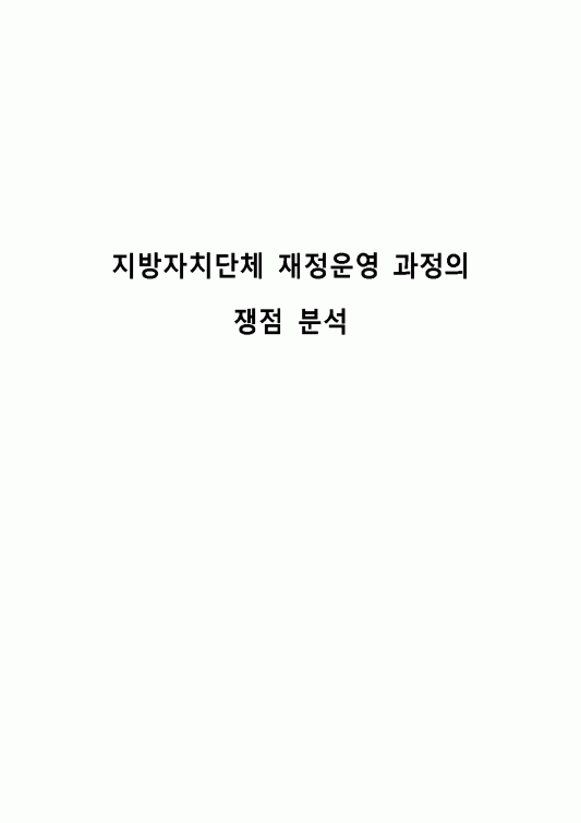 지방자치단체 재정운영 과정의 쟁점 분석