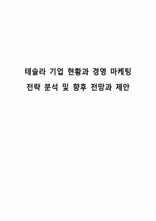 테슬라 기업 현황과 경영 마케팅 전략 분석 및 향후 전망과 제안