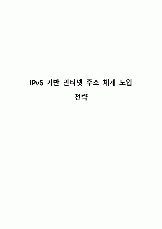 IPv6 기반 인터넷 주소 체계 도입 전략