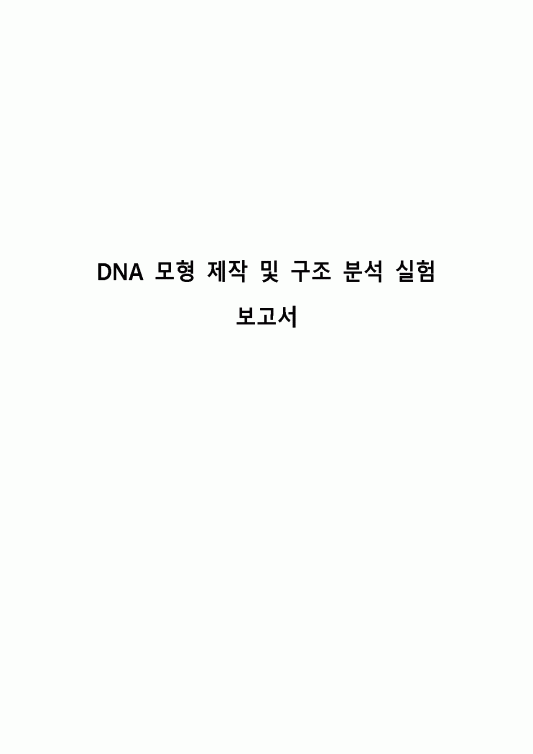 DNA 모형 제작 및 구조 분석 실험 보고서