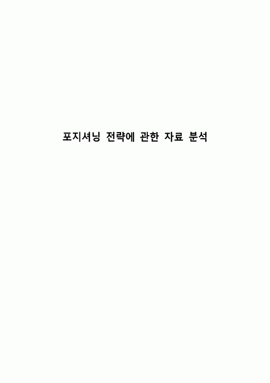 포지셔닝 전략에 관한 자료 분석