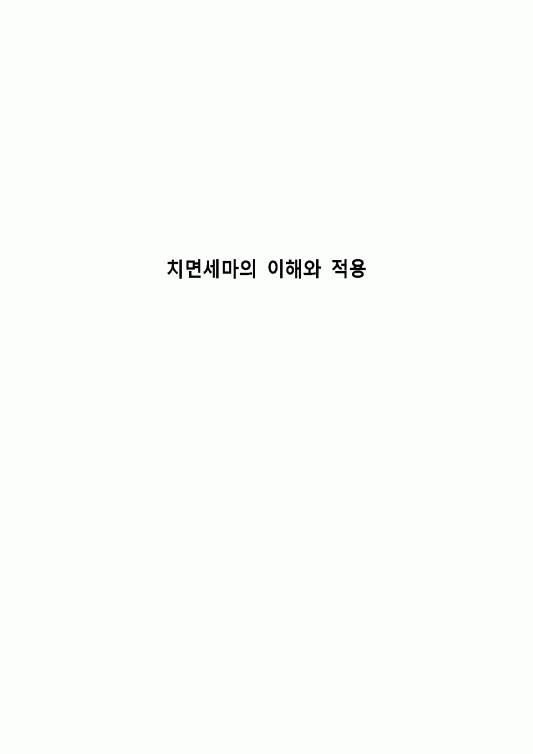 치면세마의 이해와 적용