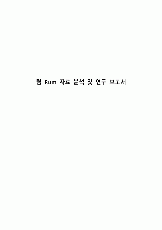 럼 Rum 자료 분석 및 연구 보고서