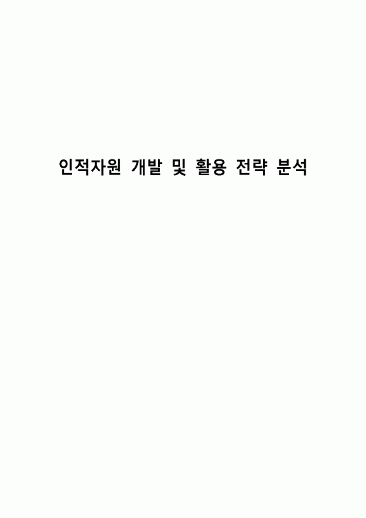 인적자원 개발 및 활용 전략 분석