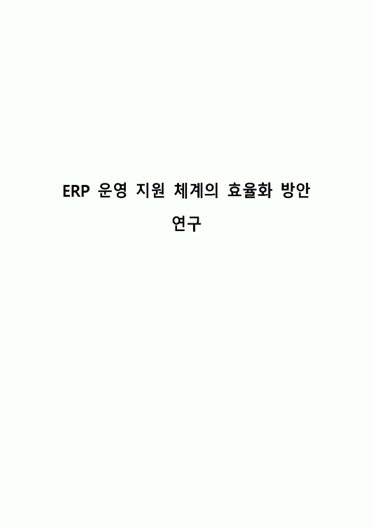 ERP 운영 지원 체계의 효율화 방안 연구