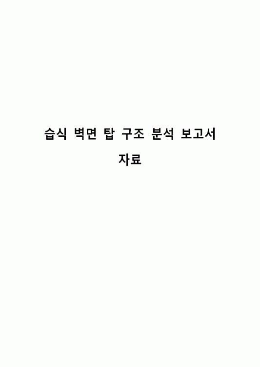 습식 벽면 탑 구조 분석 보고서 자료
