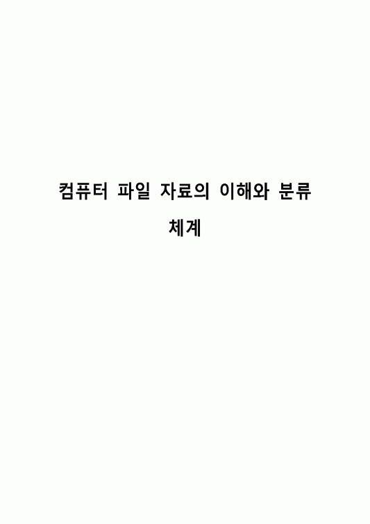 컴퓨터 파일 자료의 이해와 분류 체계
