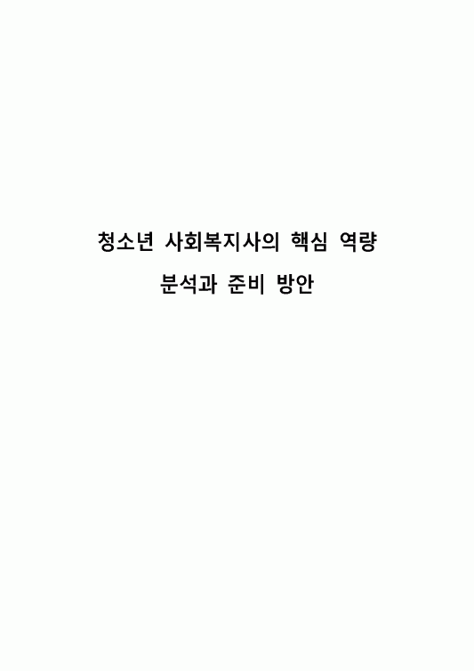 청소년 사회복지사의 핵심 역량 분석과 준비 방안