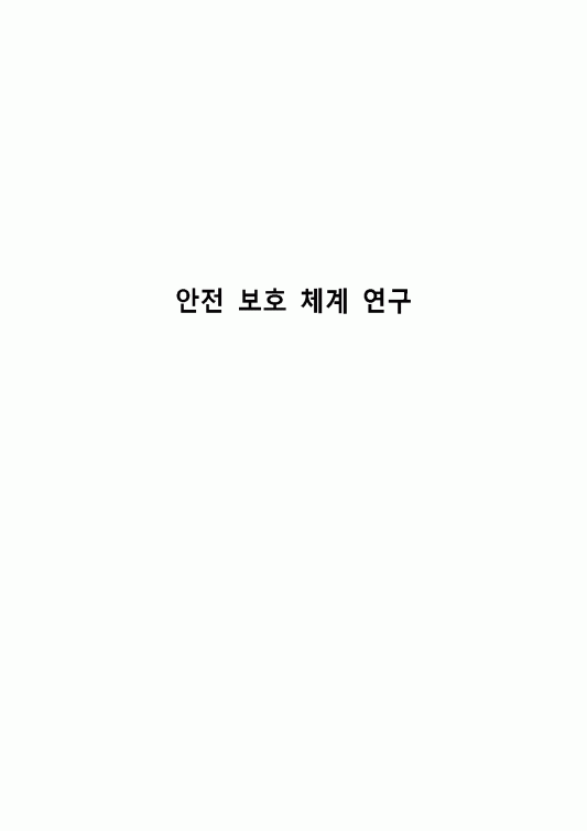 안전 보호 체계 연구