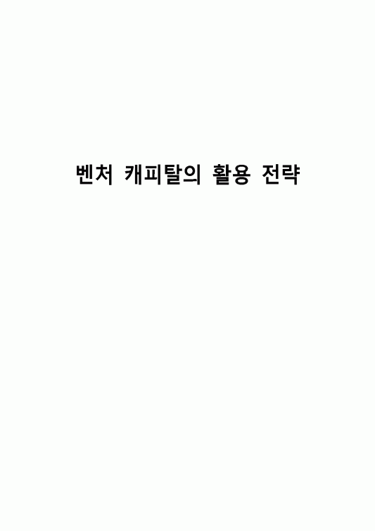 벤처 캐피탈의 활용 전략