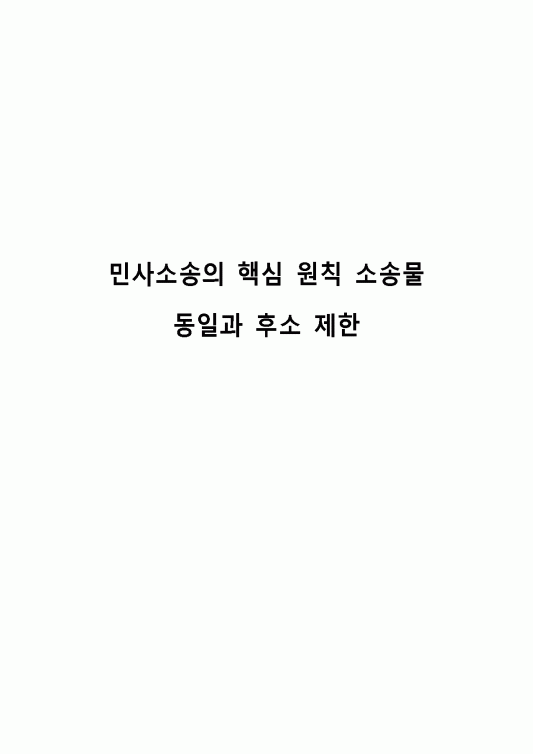 민사소송의 핵심 원칙 소송물 동일과 후소 제한
