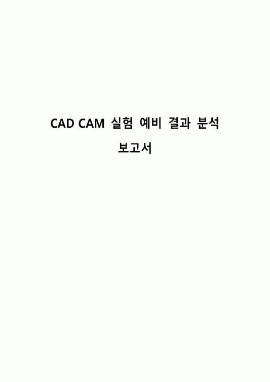 CAD CAM 실험 예비 결과 분석 보고서