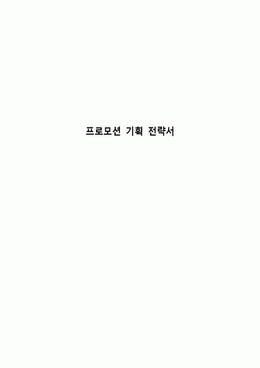 프로모션 기획 전략서