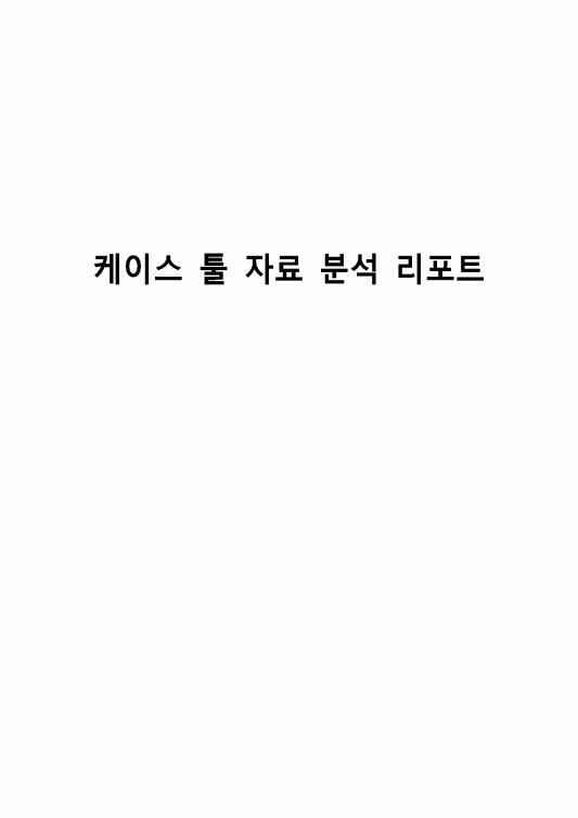 케이스 툴 자료 분석 리포트