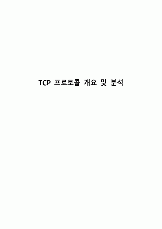 TCP 프로토콜 개요 및 분석