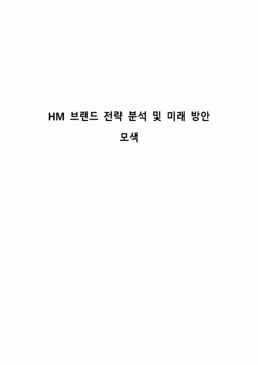 HM 브랜드 전략 분석 및 미래 방안 모색