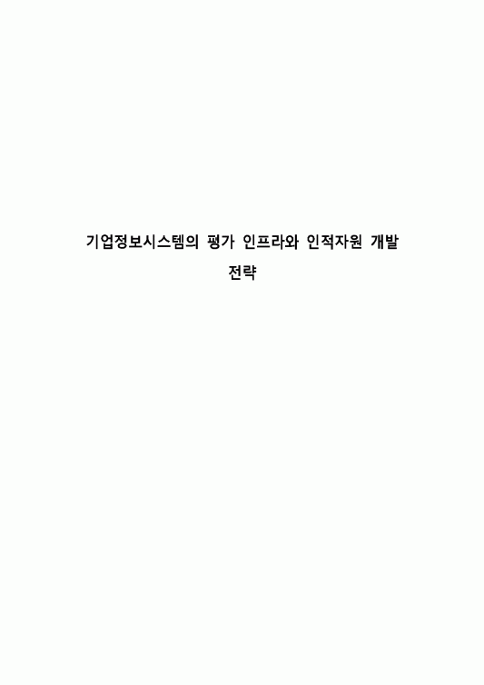 기업정보시스템의 평가 인프라와 인적자원 개발 전략