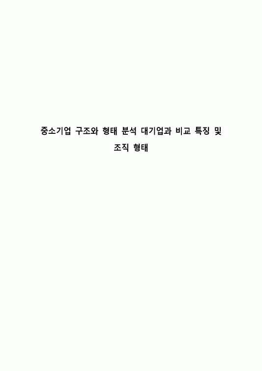 중소기업 구조와 형태 분석 대기업과 비교 특징 및 조직 형태