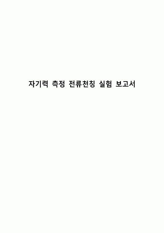 자기력 측정 전류천칭 실험 보고서