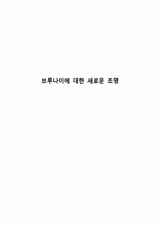 브루나이에 대한 새로운 조명