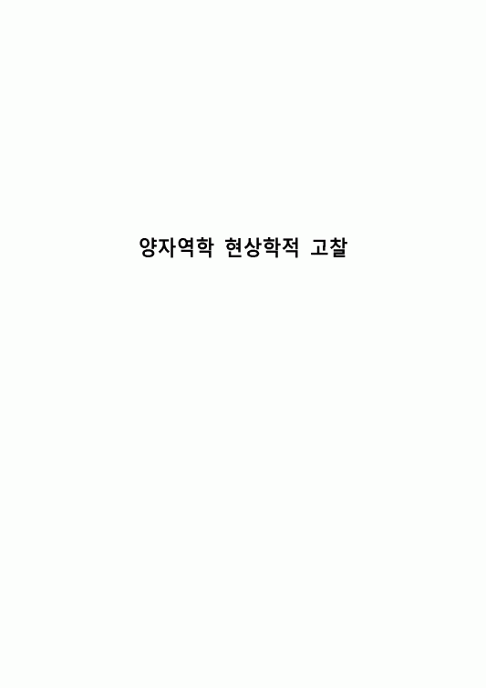 양자역학 현상학적 고찰
