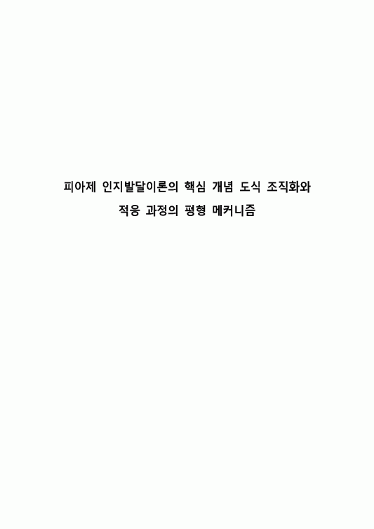피아제 인지발달이론의 핵심 개념 도식 조직화와 적응 과정의 평형 메커니즘