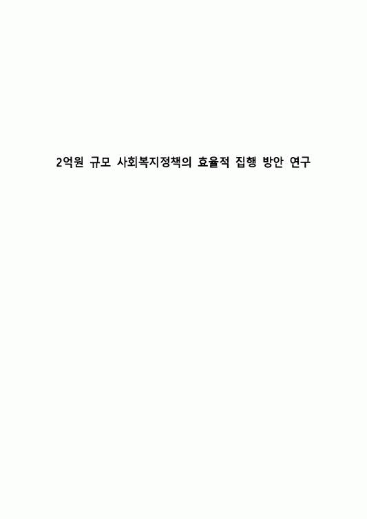 2억원 규모 사회복지정책의 효율적 집행 방안 연구
