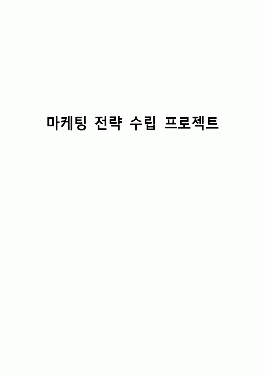 마케팅 전략 수립 프로젝트