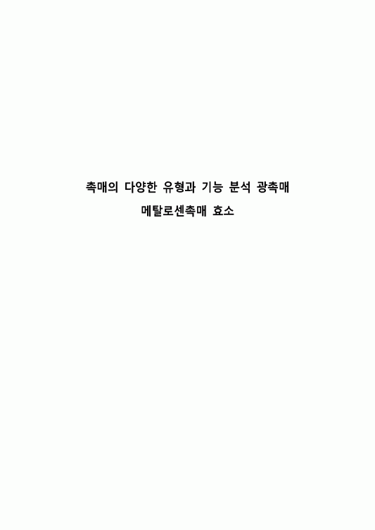 촉매의 다양한 유형과 기능 분석 광촉매 메탈로센촉매 효소